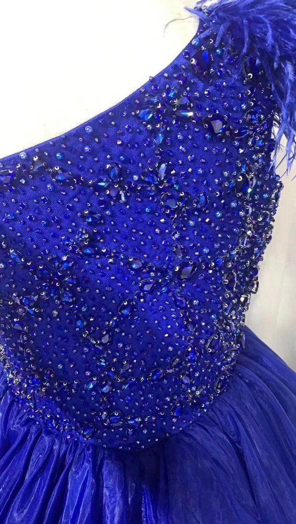 Kids Royal Stunning Pageant Gown with Feather – CupcakePageantDress