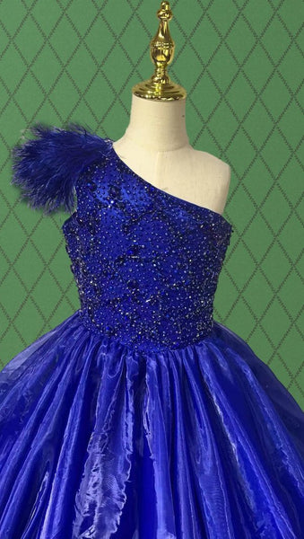 Kids Royal Stunning Pageant Gown with Feather – CupcakePageantDress